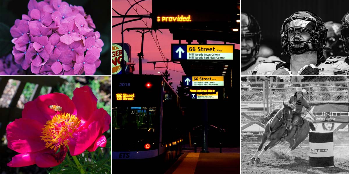 July 2025 Photo Contest Winners – Fireworks, Ducklings & Race Day Glory