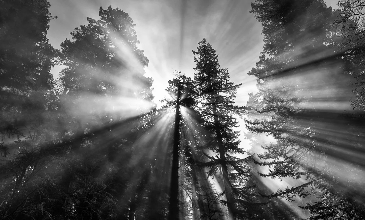 4 Tips To Elevate Your Landscape Photos This Summer