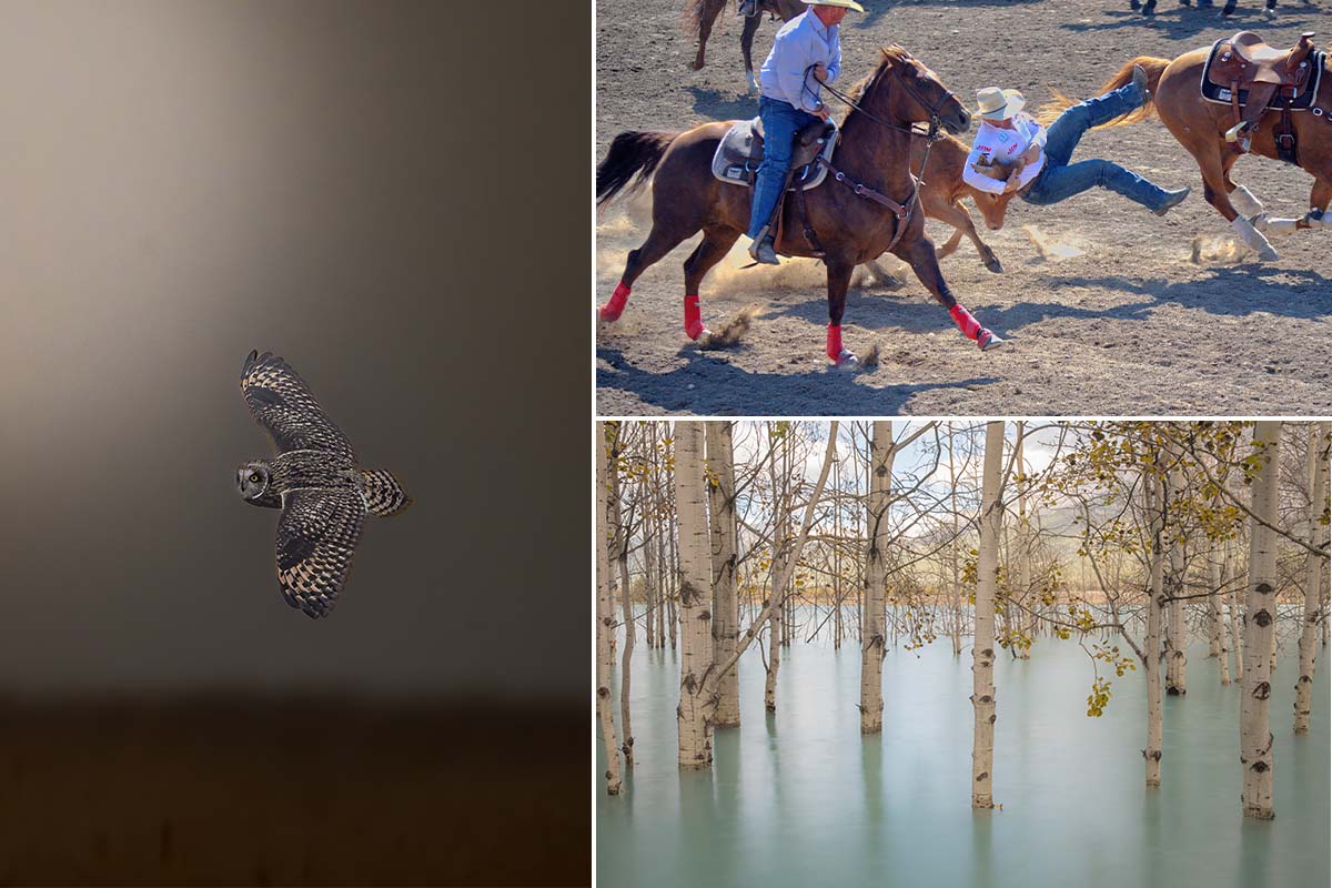 November Photo Contest Winners | Celebrating Winter’s First Light