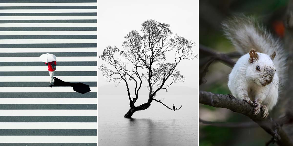 November Photo Contest Winners | Celebrating Winter’s First Light